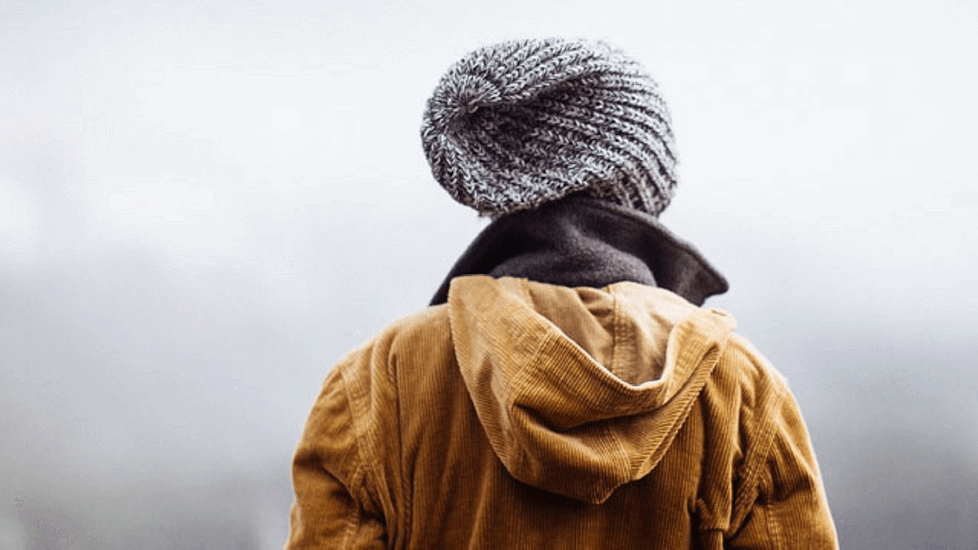 5 Questions to Ask Yourself When Creating a Donor Persona - Pulse ...